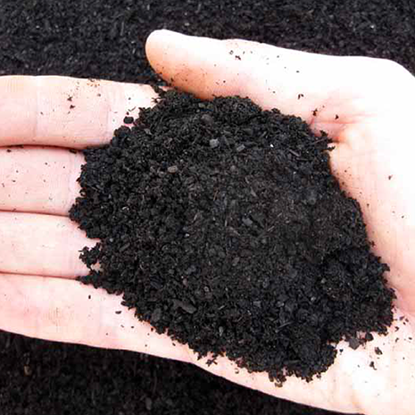 L’humus, une aide de la nature